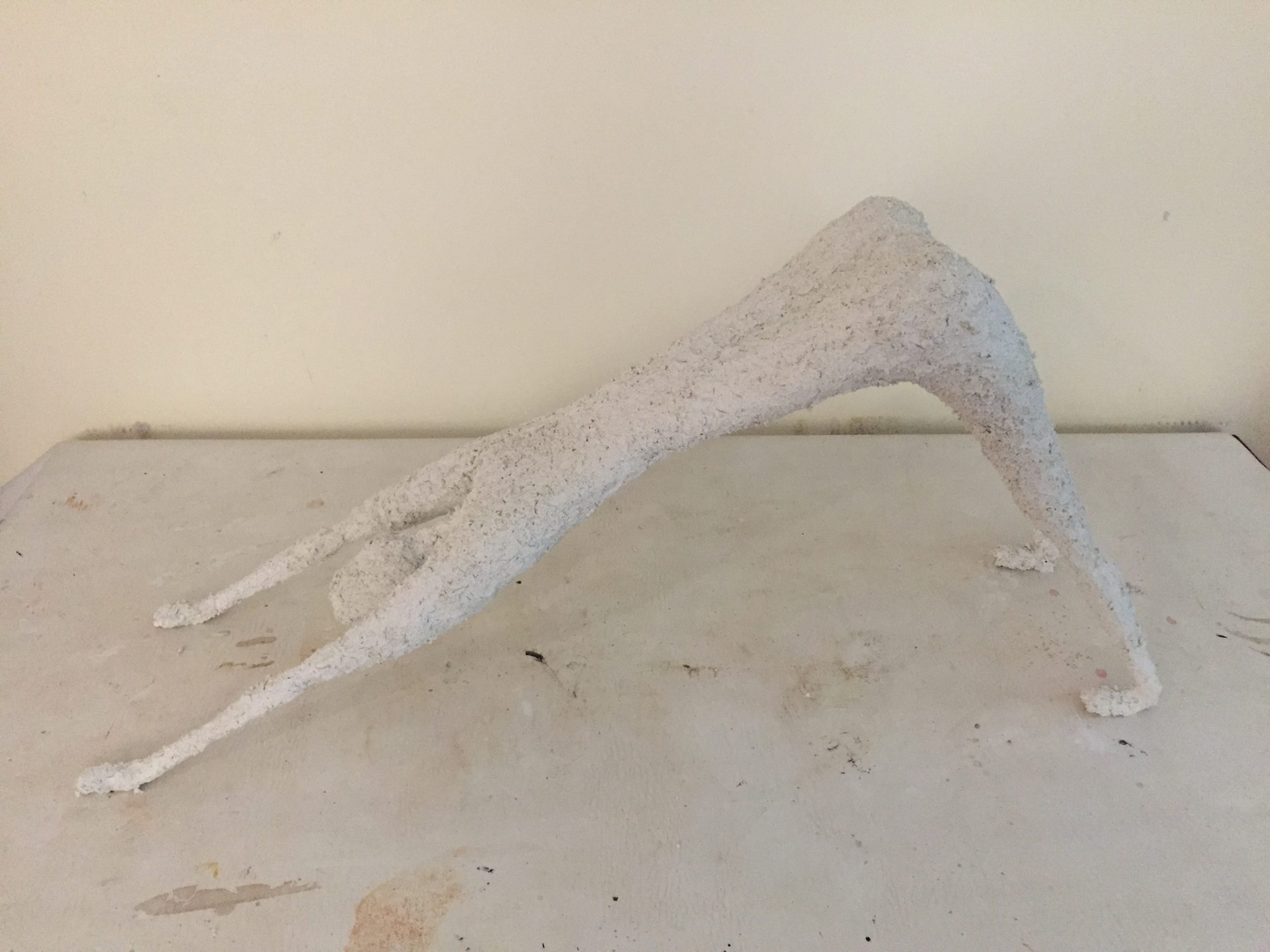 Process | Nancy W. Graham